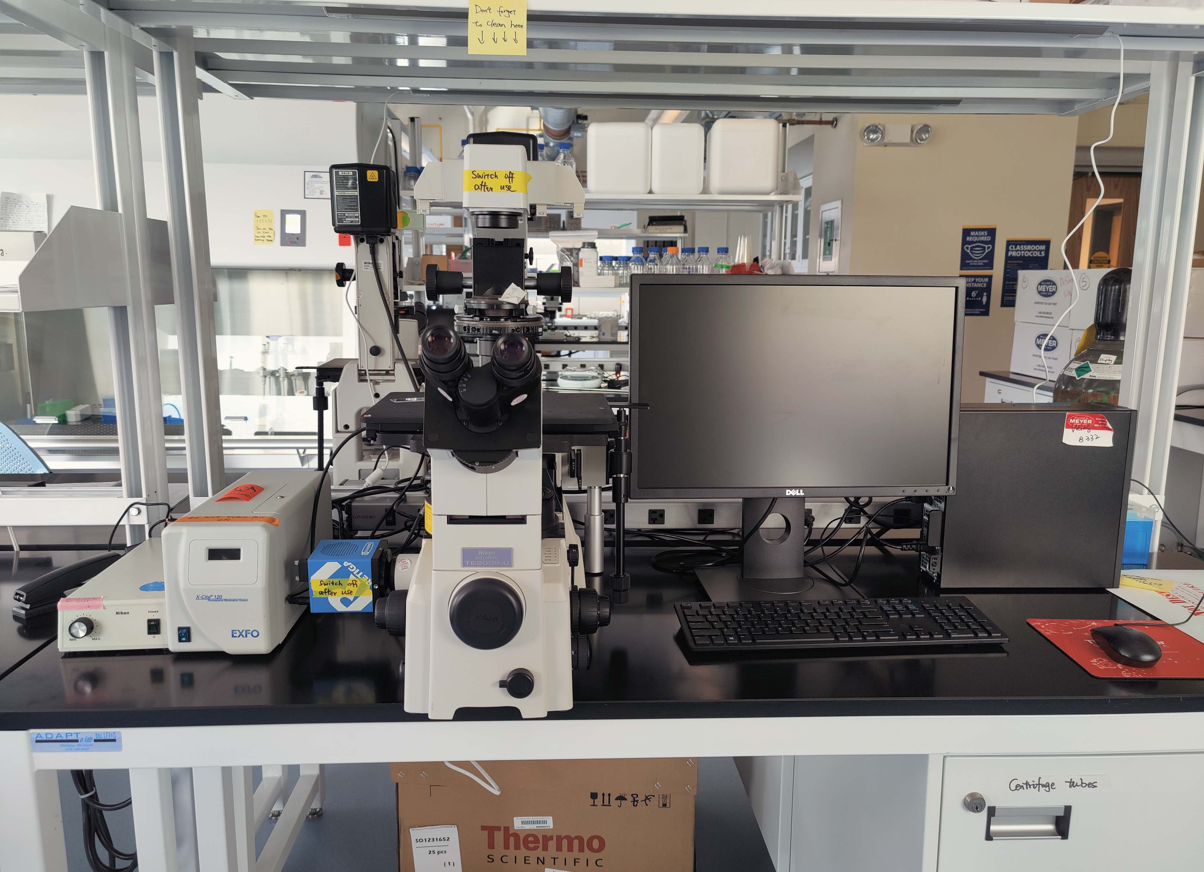 Wang Lab | University of New Haven